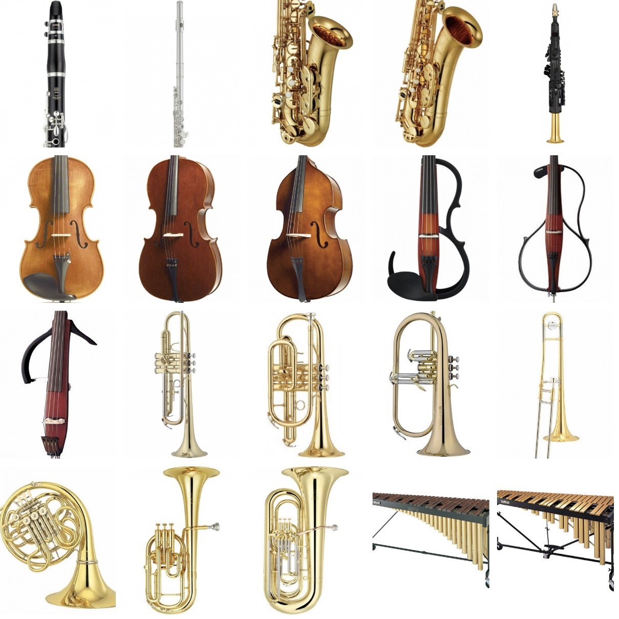 List 99+ Pictures Images Of Orchestral Instruments Superb